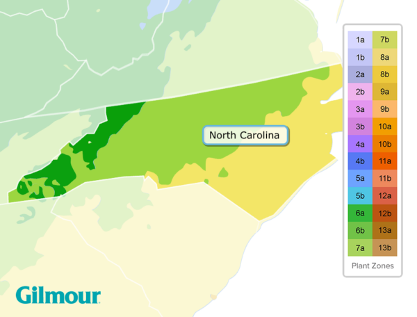 North Carolina Planting Zones - Growing Zone Map | Gilmour